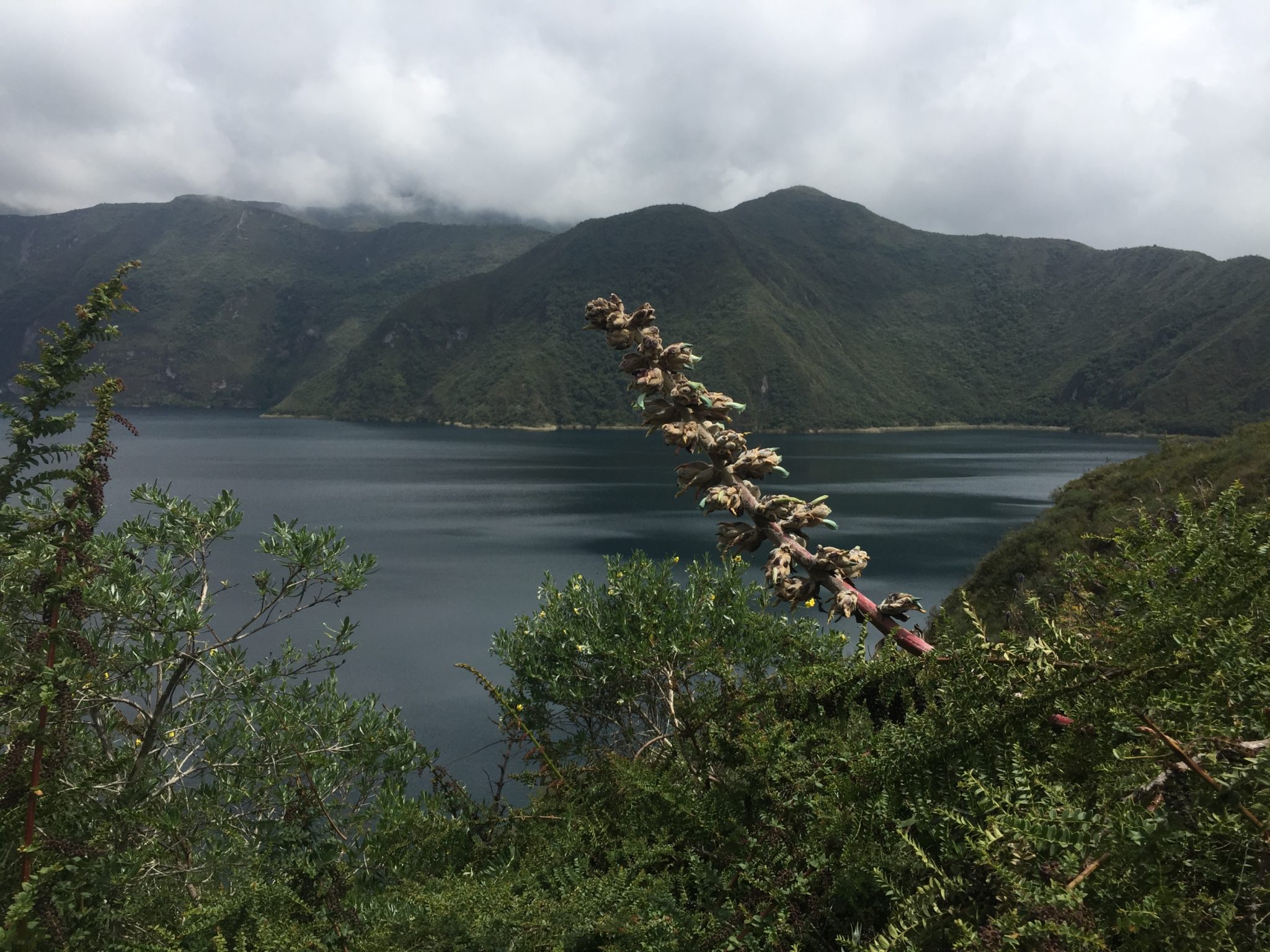 Visit To the Cuicocha Crater Lake - Useful Tips & Impressions