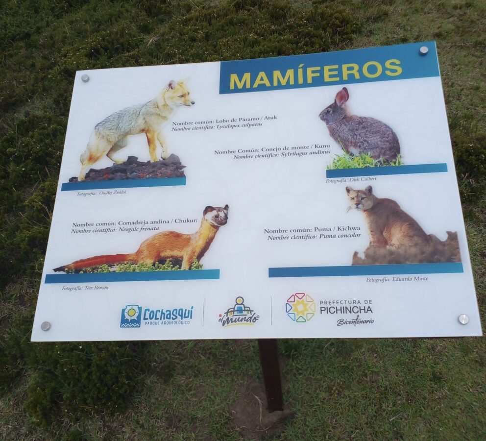 A visit of the beautiful Pre-Inca site of Cochasqui, Ecuador