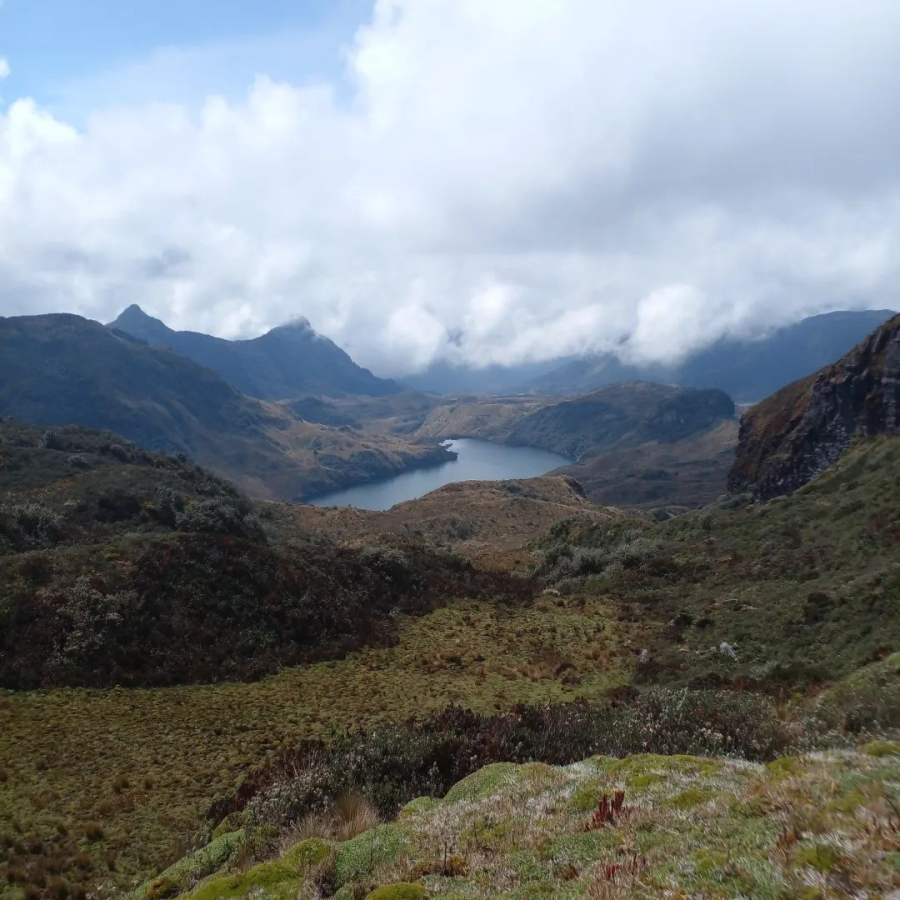 Visit the hot springs of Papallacta? Yes,... or better No?